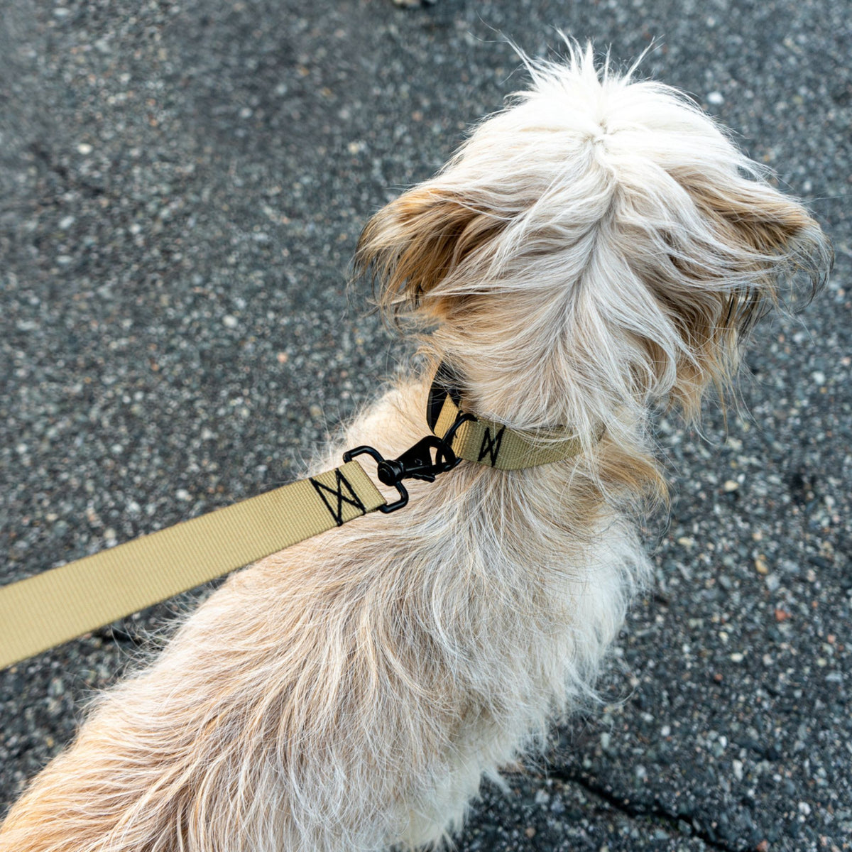 DIY Dog Leash Kit | Make Your Own - Ripstop by the Roll